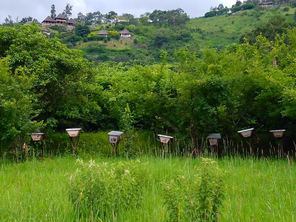 Living in harmony with nature: Frontier park communities embrace ...