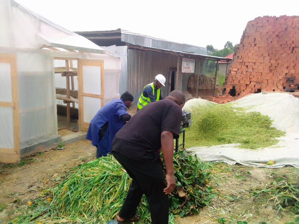 Investing in Nature-based Solutions can generate up to 32 million new ...