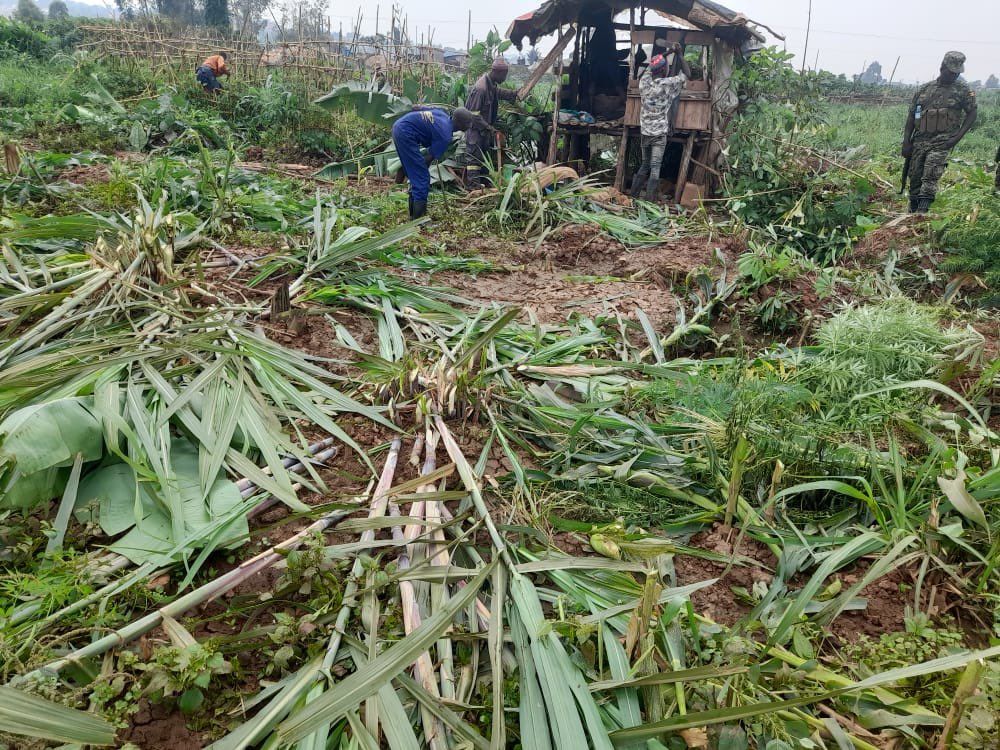 NEMA starts restoration of Lubigi wetland system – Africa Planet Watch